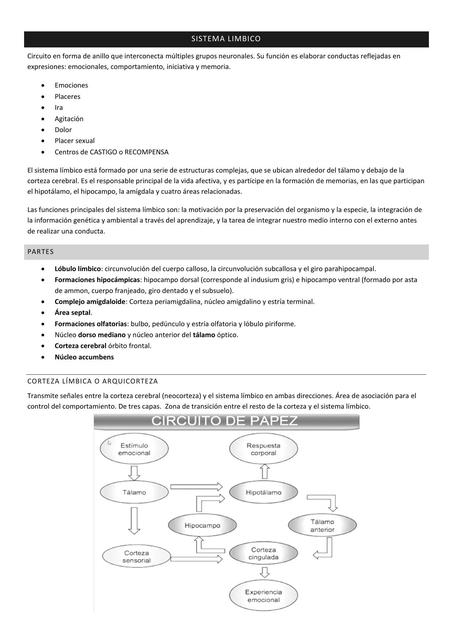 Sistema limbico | Celeste Codutti | uDocz