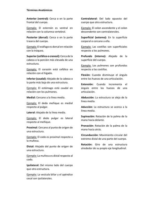 Términos Anatómicos | Yonaikel Coello | uDocz