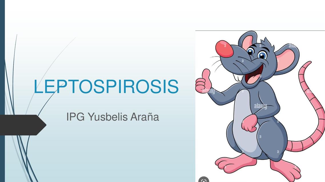 Leptospirosis | Yusbelis Araña Dias | uDocz