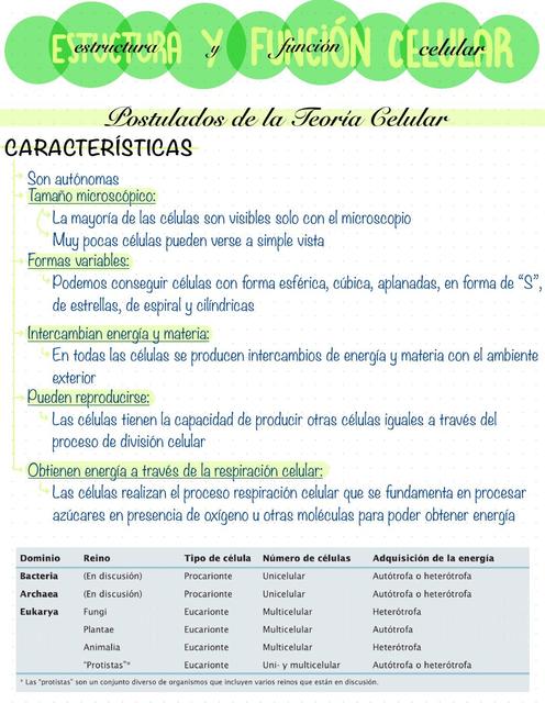 Estructura y Función Celular | uDocz