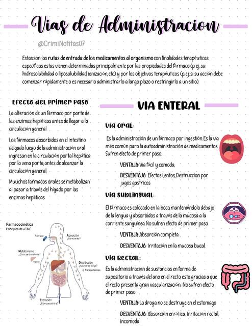 Vías de Administración | Forensic Studygram | uDocz