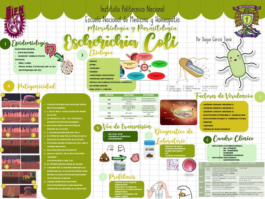 Cartel E. Coli | Tania Duque García | uDocz