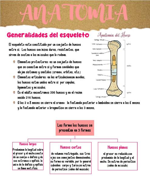 Huesos | Anahi Cuevas | uDocz