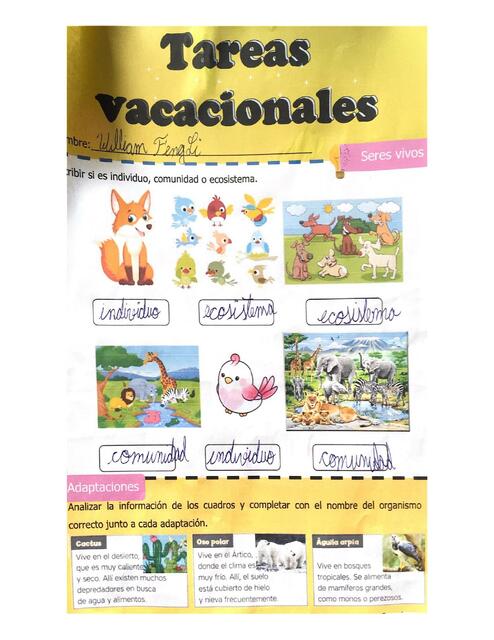 Tareas vacacionales | Willyn Feng Li | uDocz
