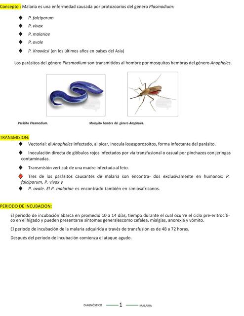 Malaria | Yuneide Quevedo | uDocz