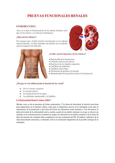 Pruebas funcionales renales | BRANDY | uDocz