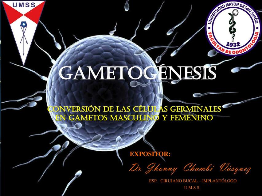 Gametogénesis | Noe Céspedes | uDocz