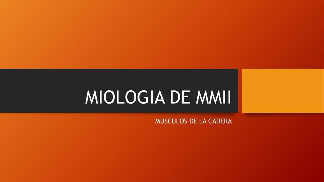 clase 13 MIOLOGIA DE MMII | Antonela | uDocz