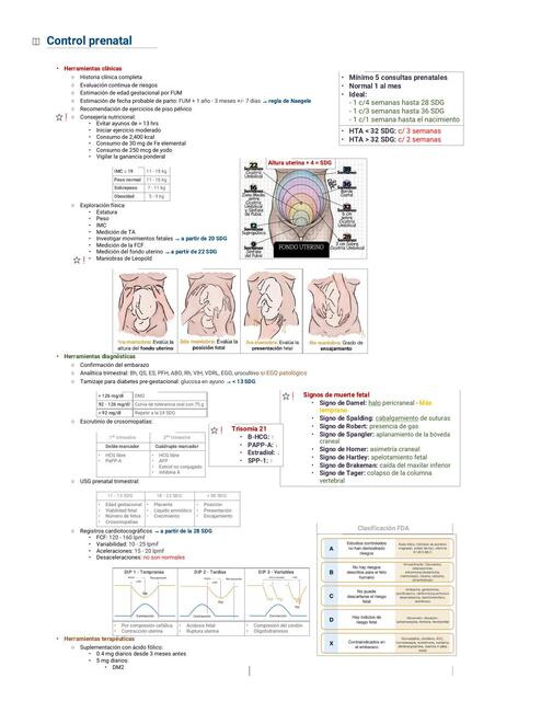 Flashcards de Control Prenatal | Por Dr. Flash | uDocz
