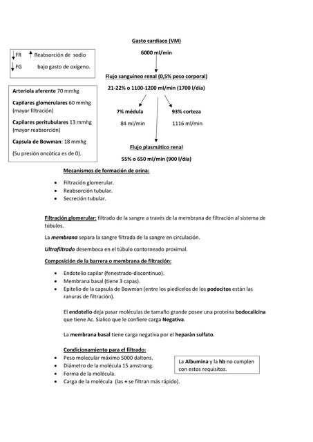 Renal | YUDOC.ORG | uDocz
