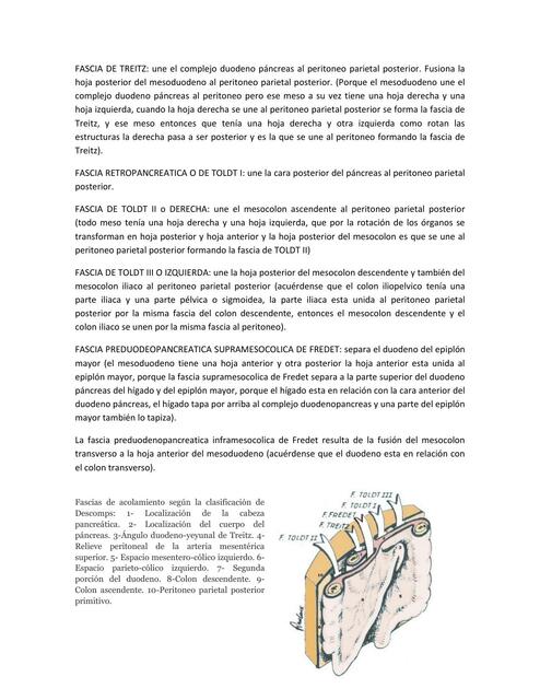 Tipos de Fascia | YUDOC.ORG | uDocz