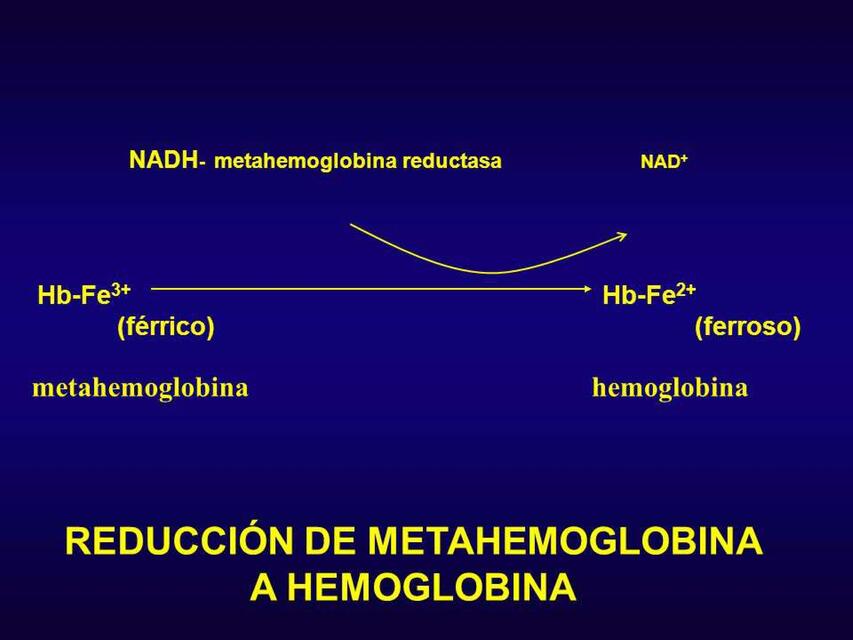 Resúmenes de Metahemoglobina | Descarga apuntes de Metahemoglobina