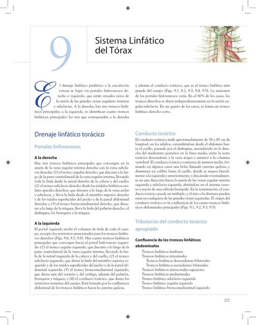 Sistema Linfático del Tórax | YUDOC.ORG | uDocz