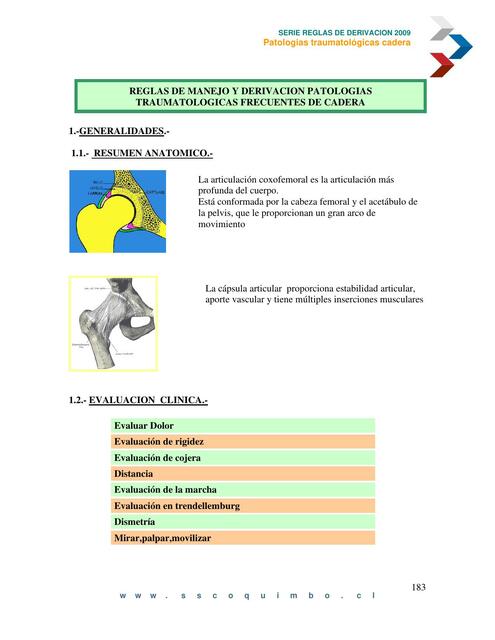 Patología Frecuente de Cadera | YUDOC.ORG | uDocz