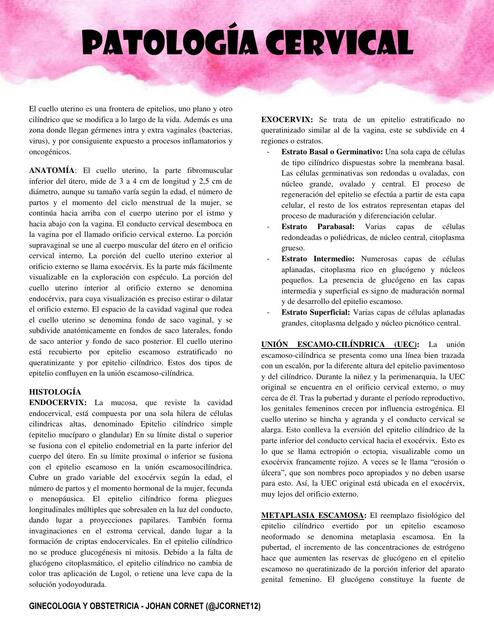 Patologia Cervical: VPH y NIC | JOHAN JOSE CORNET SIBADA | uDocz