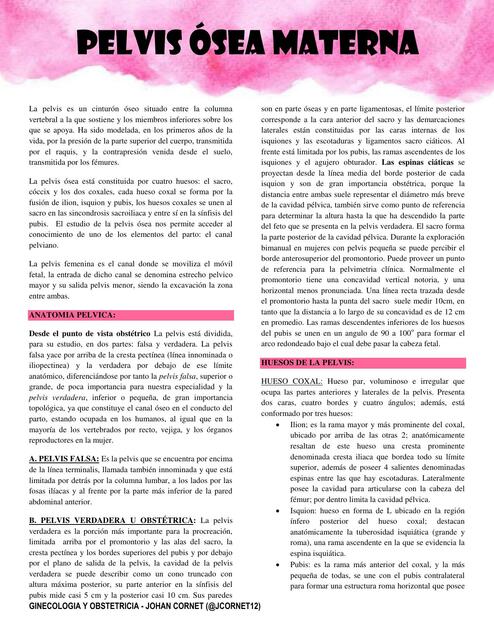 Pelvis ósea Johan Jose Cornet Sibada Udocz