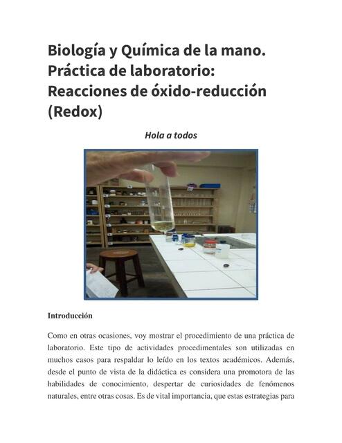 Laboratorio: Reacciones de óxido-reducción | Aprende Todo de Medicina | uDocz