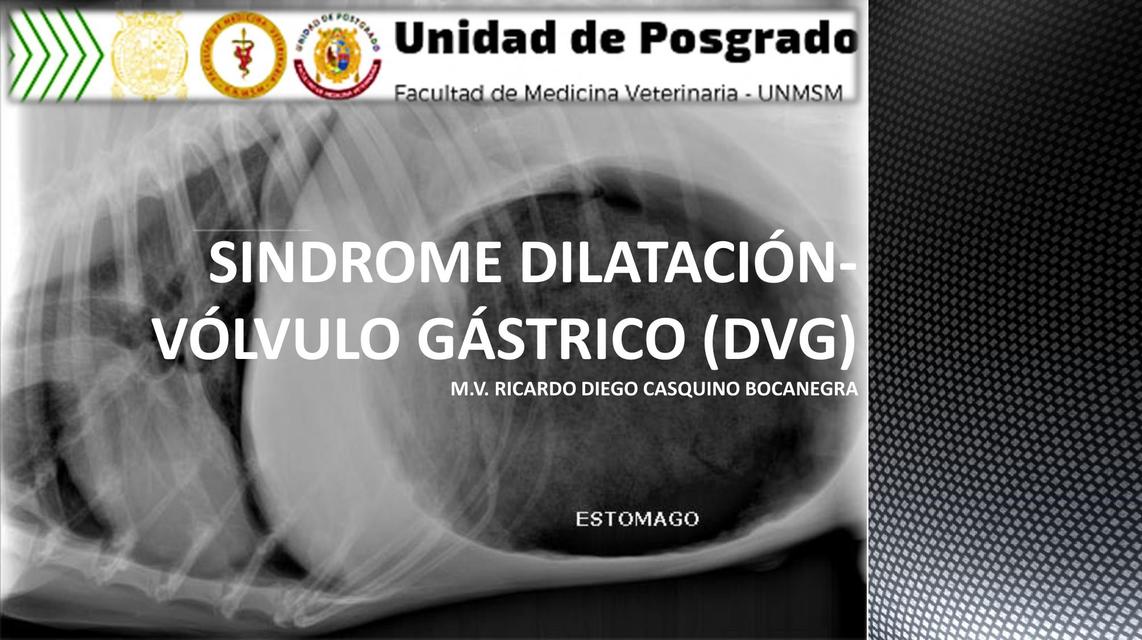 Sindrome dilatación volvulo gastrico | Ricardo Diego Casquino Bocanegra ...