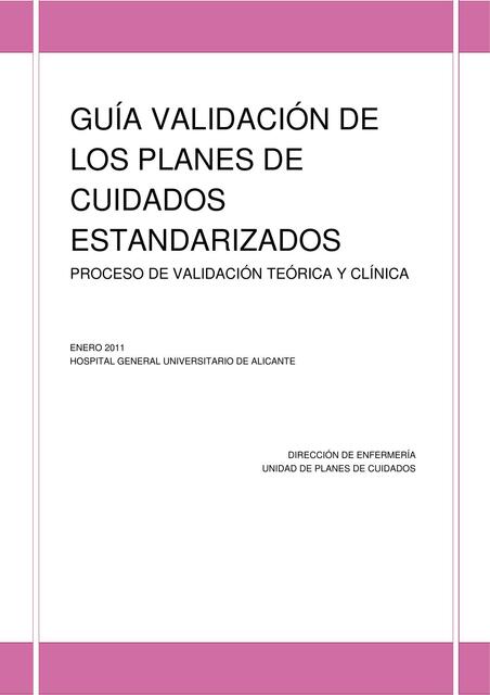 Plan De Cuidados Estandarizados
