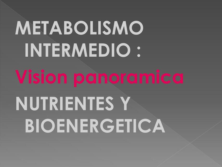 Metabolismo Intermedio: Visión Panorámica | YUDOC.ORG | uDocz