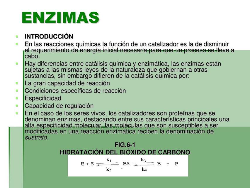 Enzimas | YUDOC.ORG | uDocz