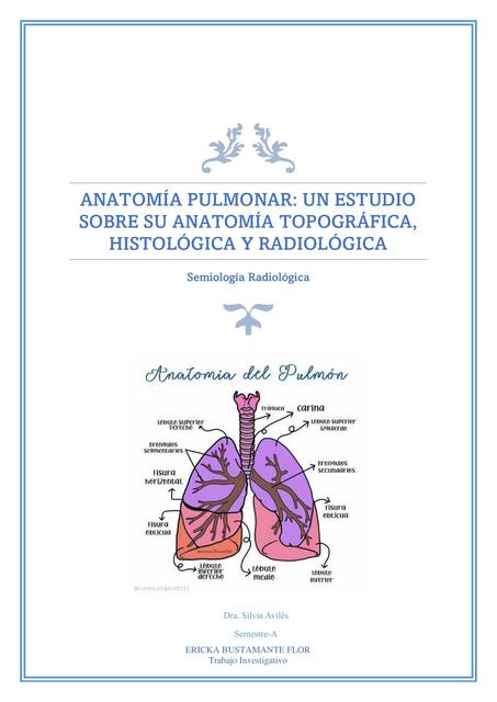 Anatomía Pulmonar | Giuliana Flor | uDocz