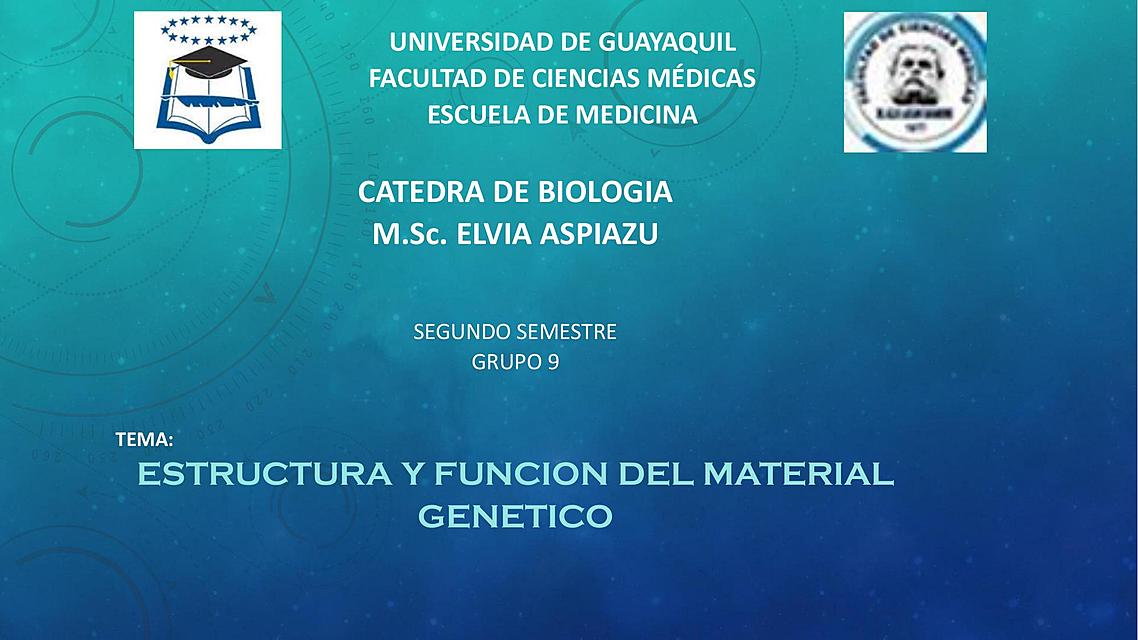 ESTRUCTURA Y FUNCION DEL MATERIAL GENETICO-RESUMEN | Ronaldo Montalvo ...