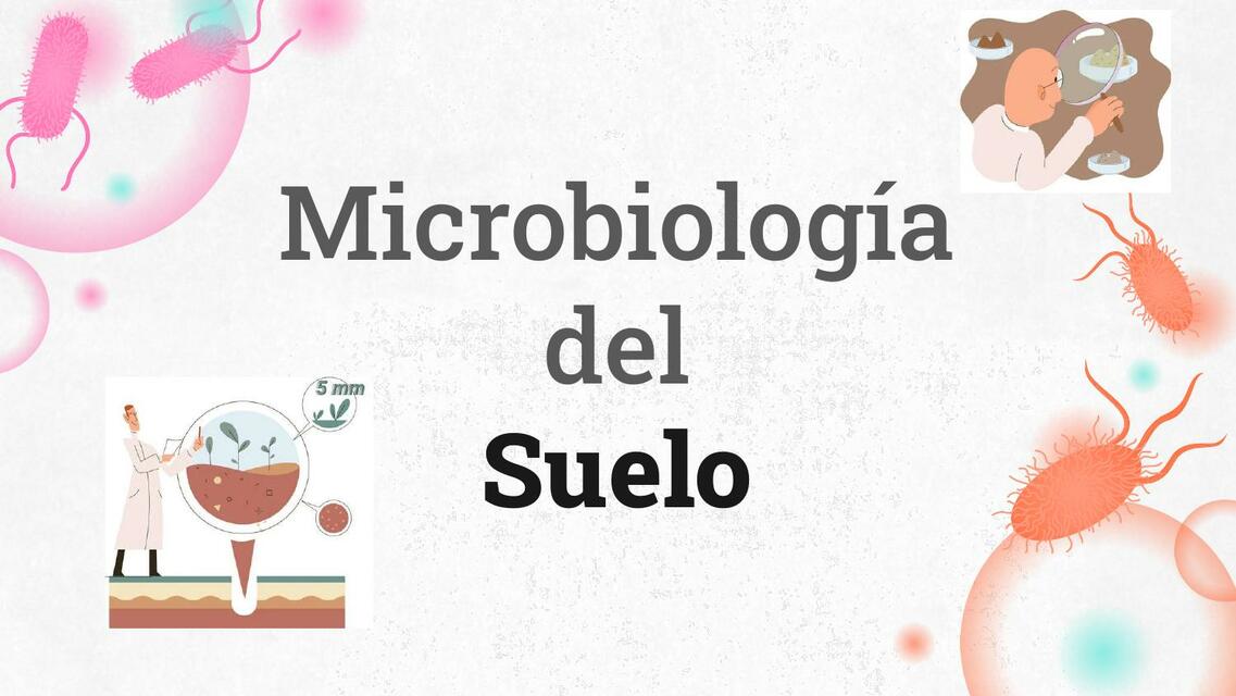 Microbiología del suelo | Samantha Shernandez | uDocz