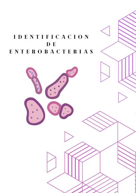 Identificación de enterobacterias | Tiroxina Med | uDocz
