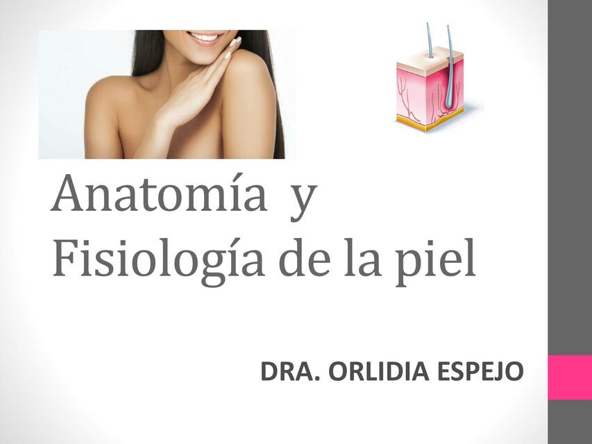 Anatomía y Fisiología de la Piel | Orlidia Espejo | uDocz