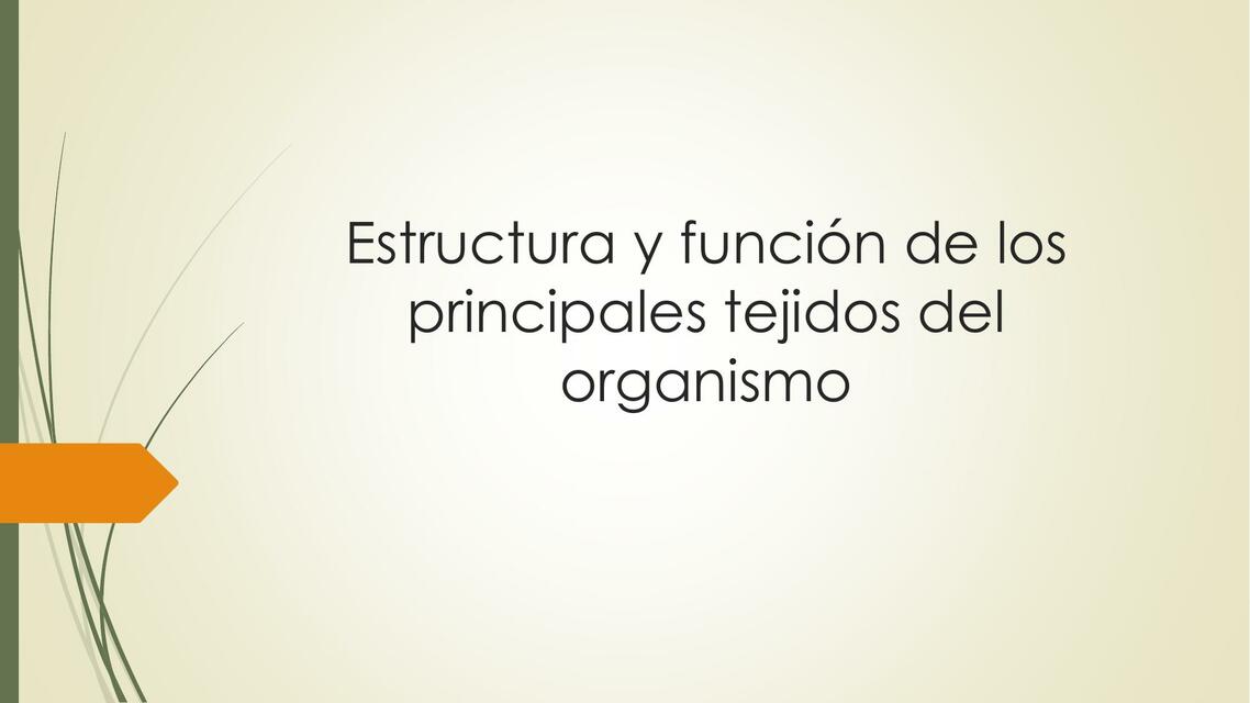 Estructura y Función de los Principales Tejidos del Organismo | Orlidia ...