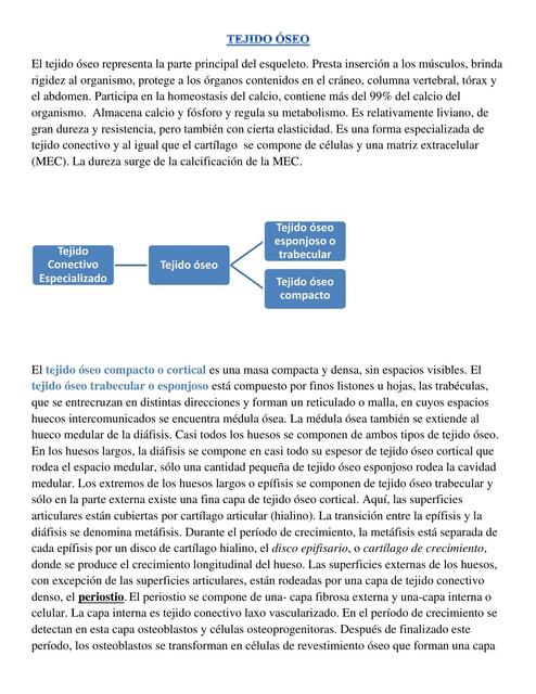 Tejido óseo | Julieta | uDocz