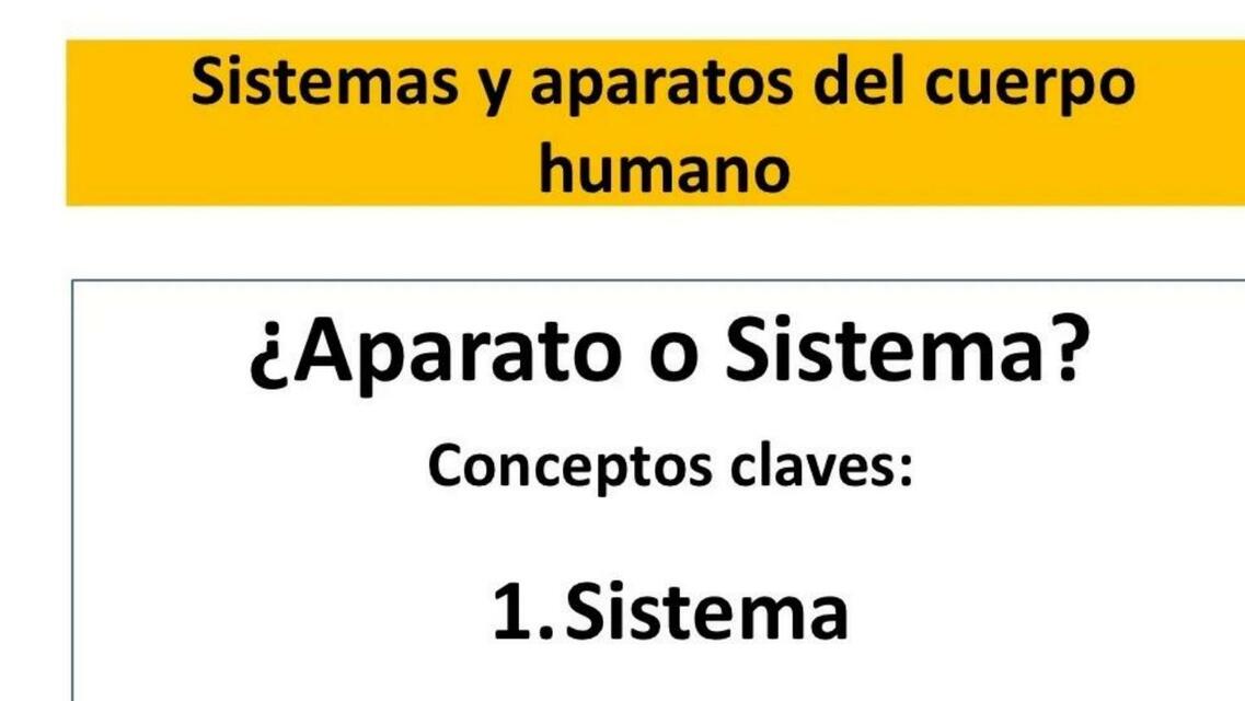 Sistemas y Aparatos del Cuerpo Humano | ENFERMERIA | uDocz