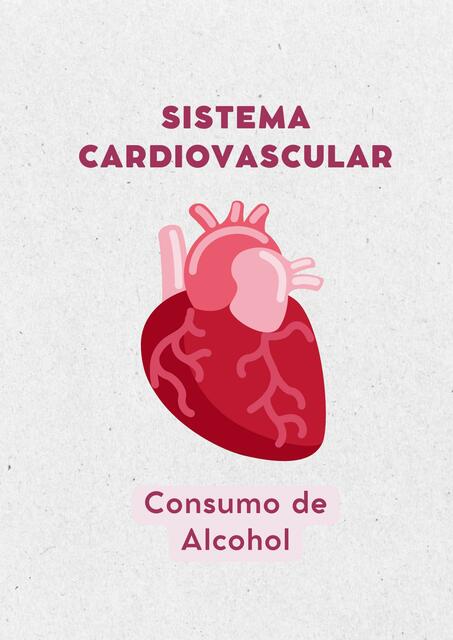 Sistema Cardiovascular y Consumo de Alcohol | María Zazueta | uDocz