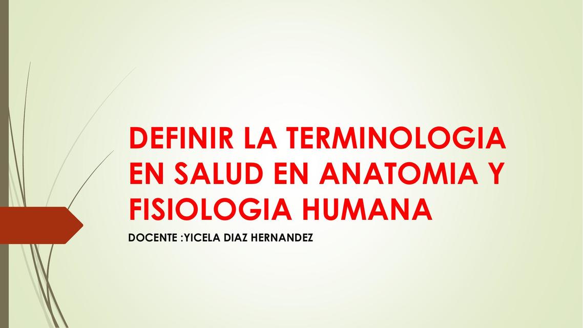 Terminología anatómica | ENFERMERIA | uDocz