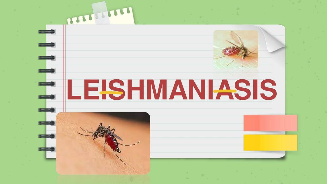 Leishmaniasis | Joisbell Méndez | uDocz