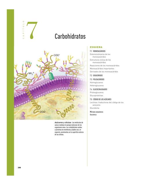 Bioquímica Emily Gabriela Rodriguez Carpio Udocz