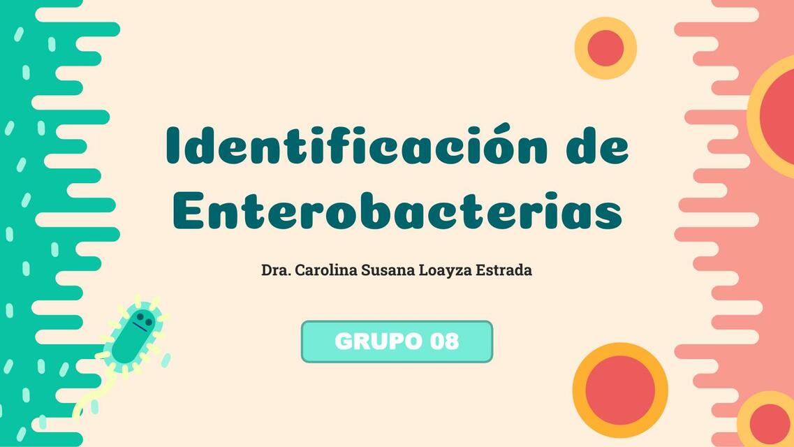 Identificación de Enterobacterias | Tiroxina Med | uDocz