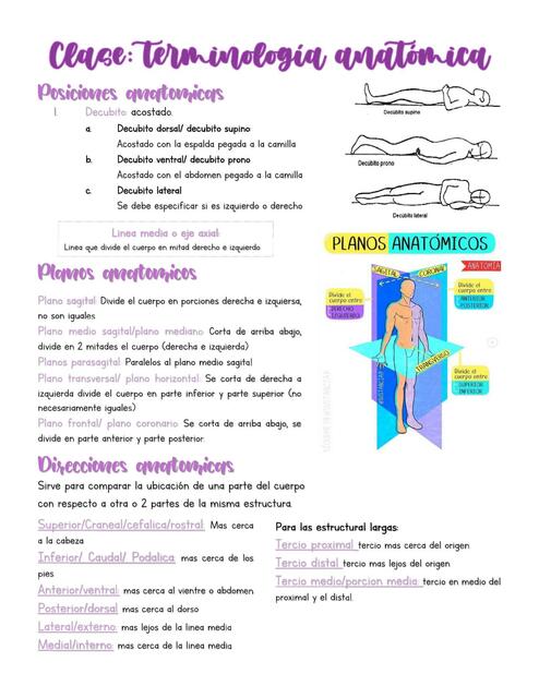 Terminología anatómica | Karen Mantilla | uDocz