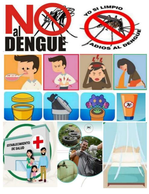 No al Dengue | Fachita xd | uDocz