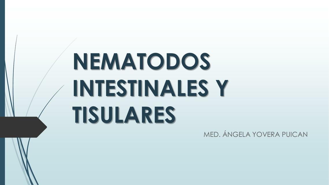 Nemátodos Intestinales y Tisulares | Dionisia Guevara | uDocz