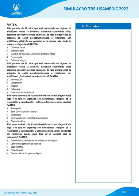 Simulacro 5 | Ilda Merci | uDocz