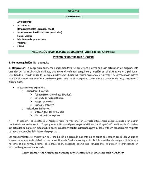 Guia PAE | Maite A. | uDocz