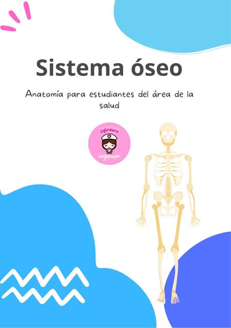 anatomía | uDocz