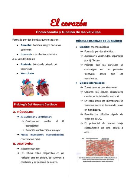 CARDIO 1 GUYTON cap 9 | VALERIA | uDocz