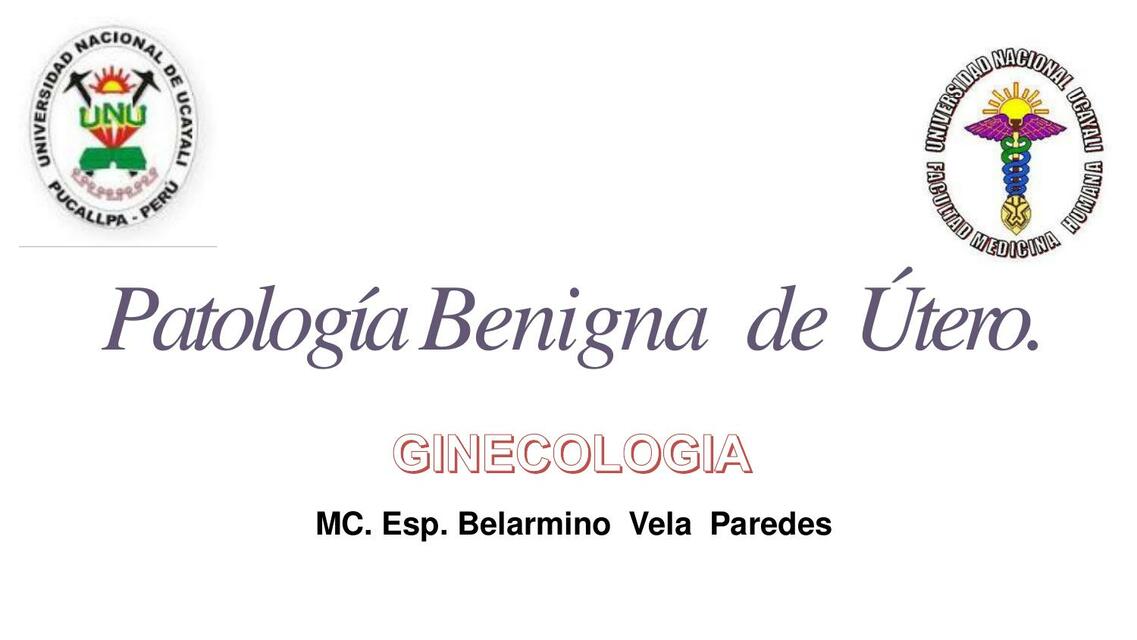 Resúmenes de neometra | Descarga apuntes de neometra