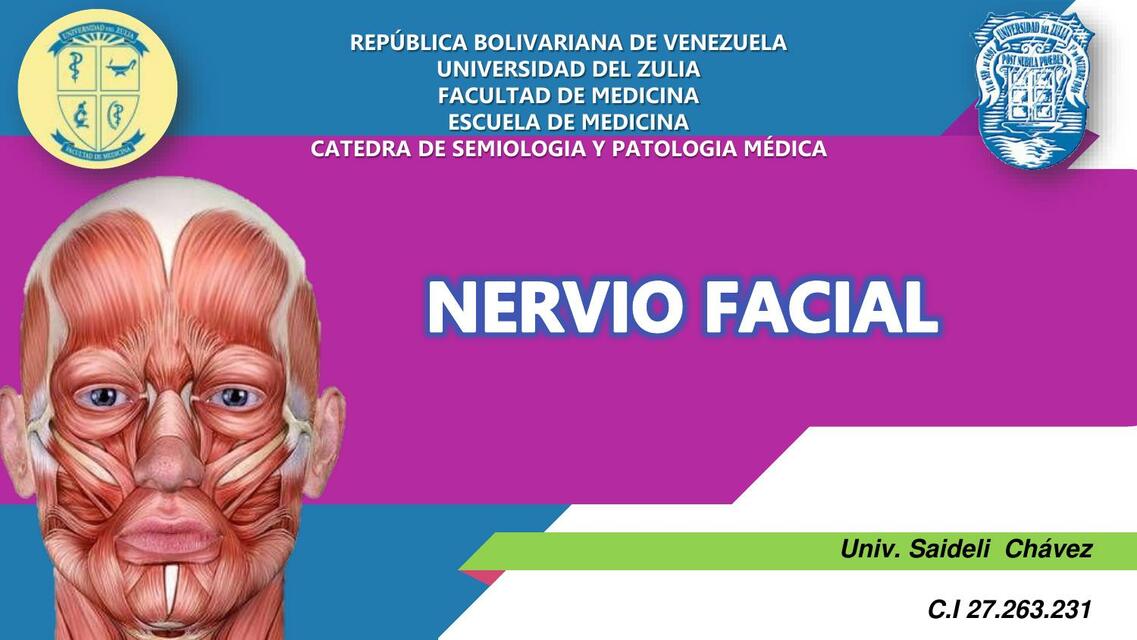 7 VII Nervio Facial | Angeles15 | uDocz