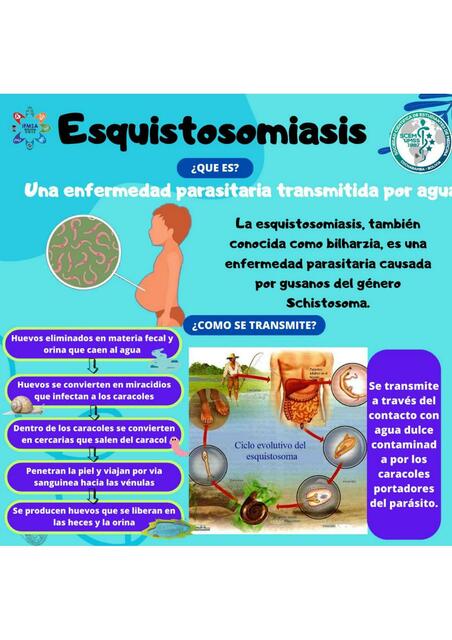 Esquistosomas Kevin Pacoricona | SCEM-UMSS Bolivia | uDocz