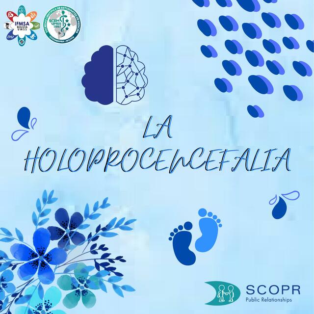 La Holoprosencefalia | SCEM-UMSS Bolivia | uDocz