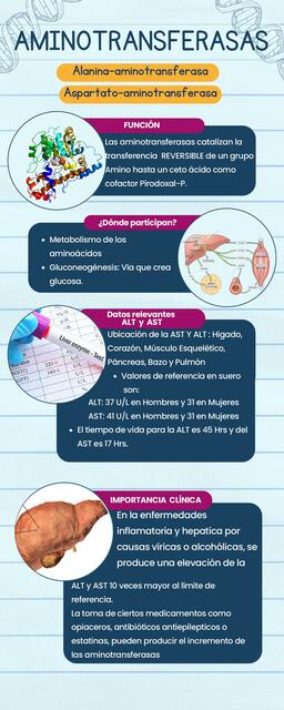 Aminotransferasas | SCEM-UMSS Bolivia | uDocz